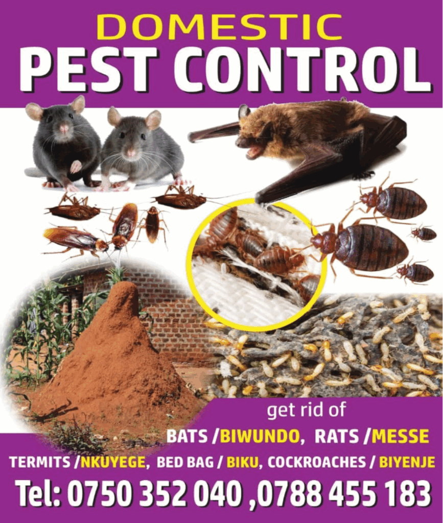 Events - GATEWAY NEWS UG